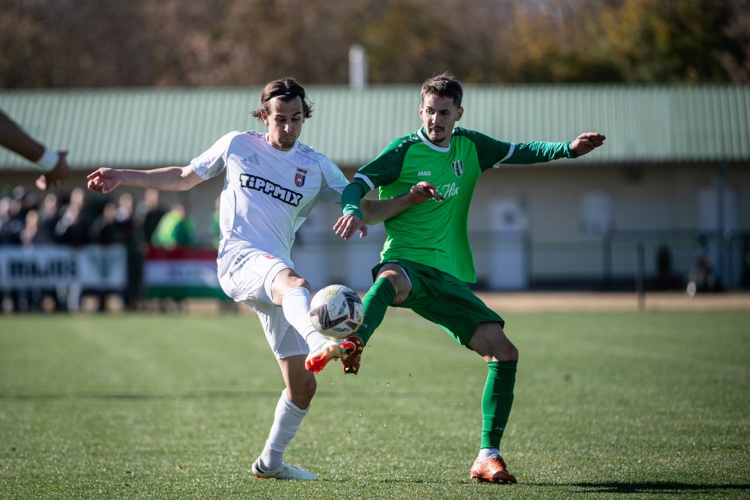 Továbbjutottunk a MOL Magyar Kupa nyolcaddöntőjébe | Videoton FC Fehérvár